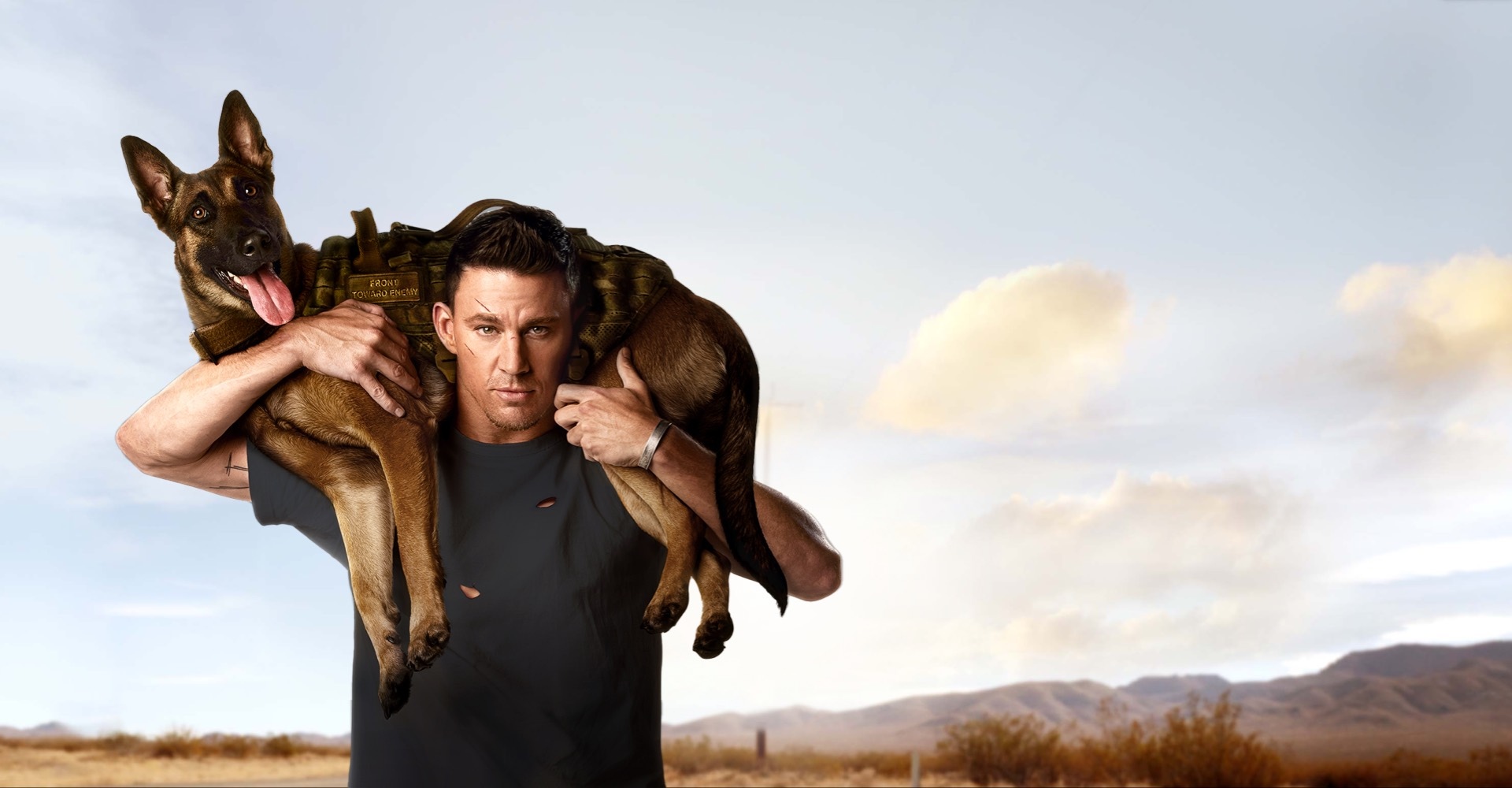 Best Dog Movies In The World