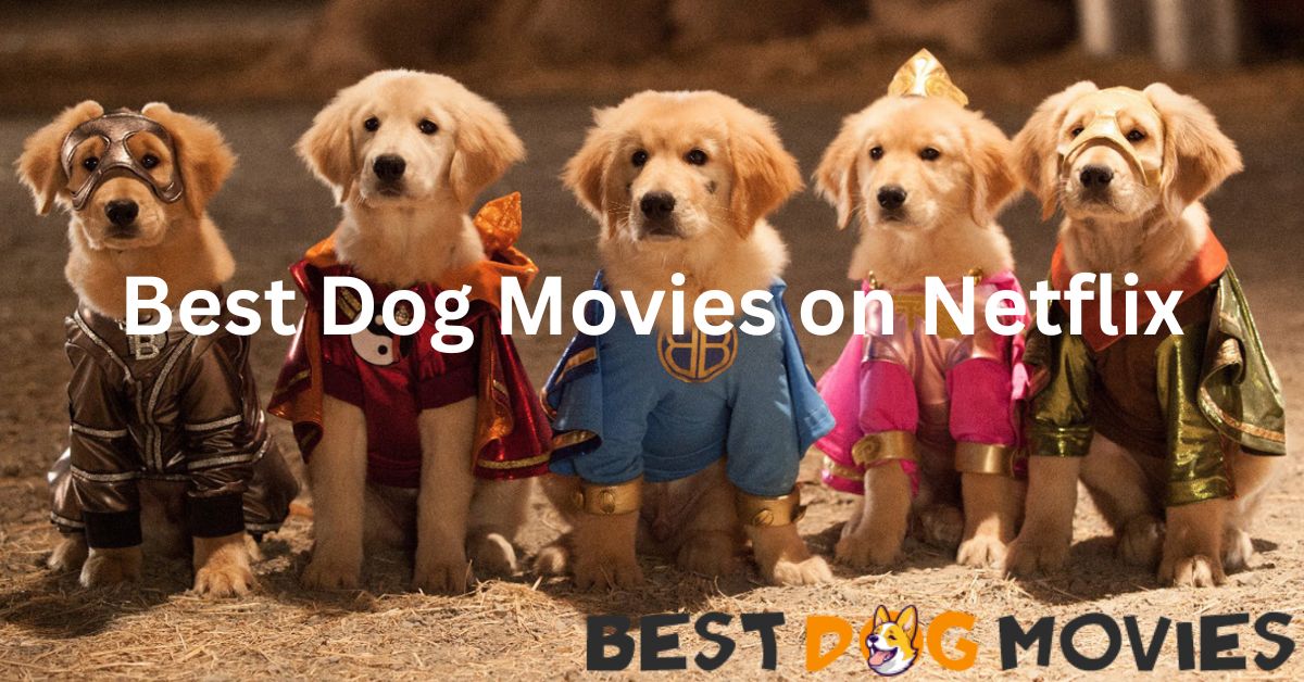 The Best Dog Movies on Netflix in 2023-2024 - Best Dog Movies