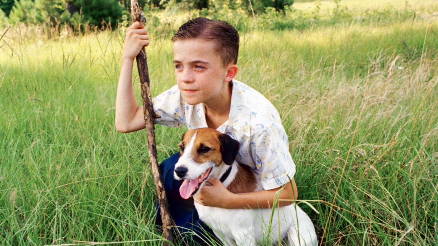 Best Dog Movies For Kids in 2024 - Best Dog Movies
